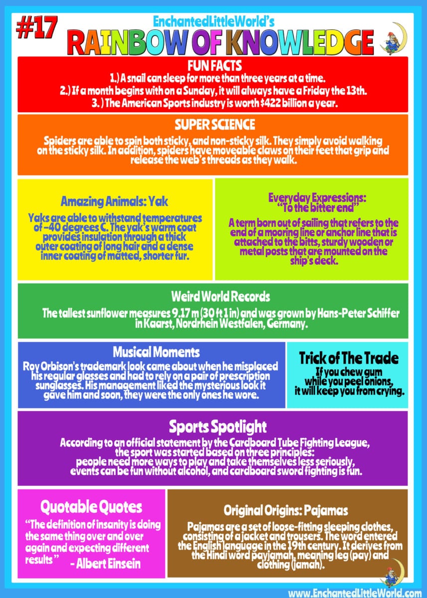 Rainbow of Knowledge #17 - Enchanted Little World