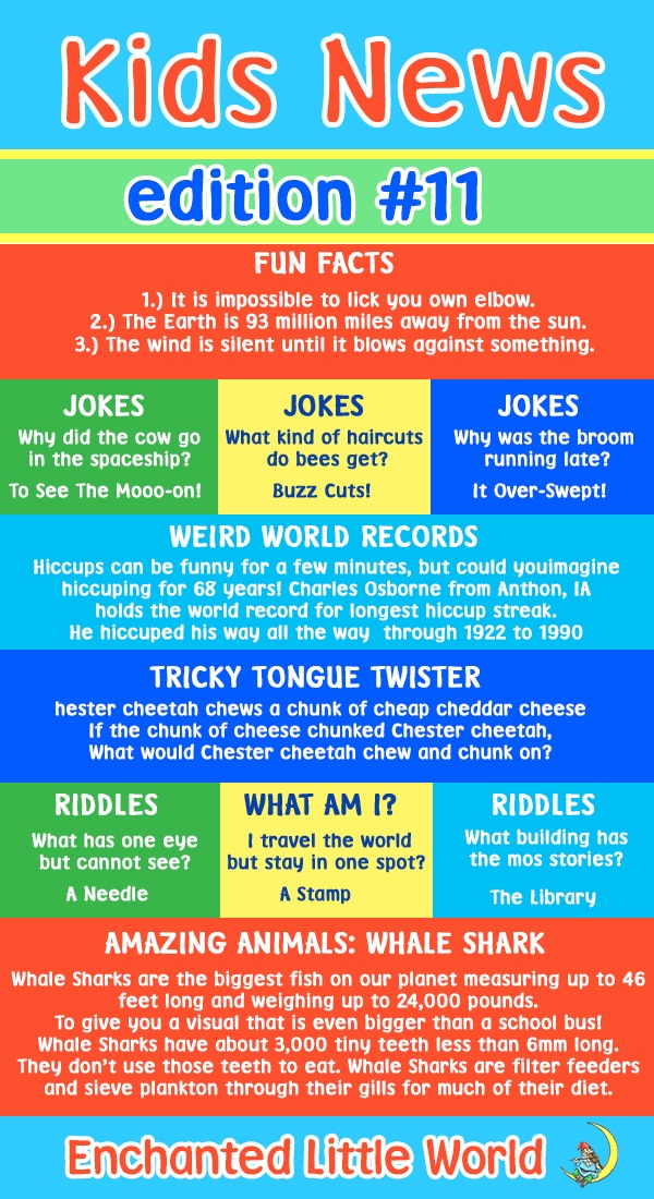 Kids News #11 - Enchanted Little World