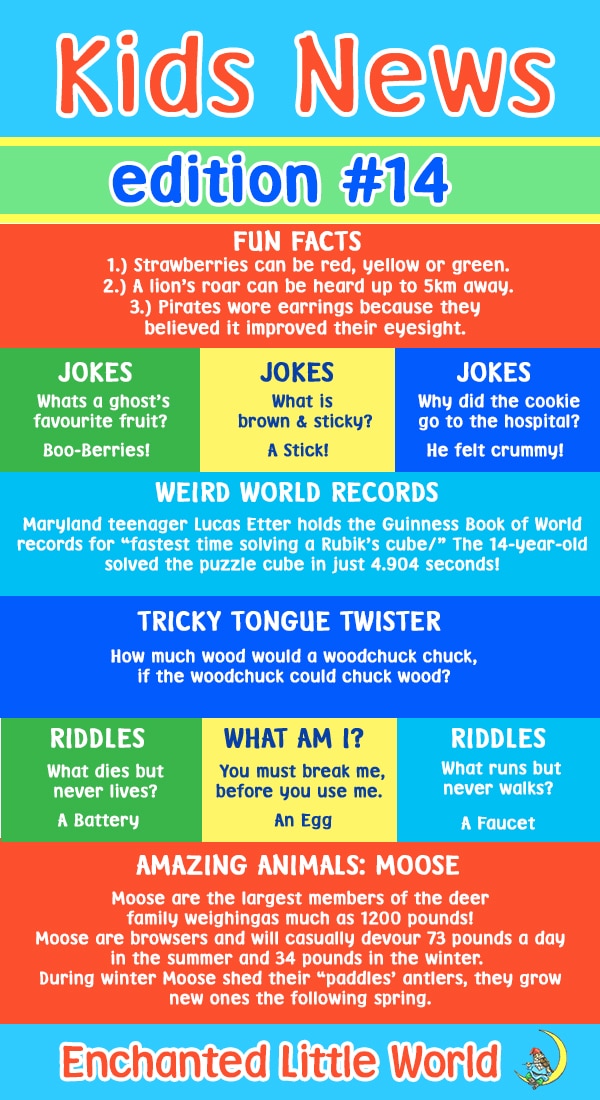 Kids News #14 - Enchanted Little World