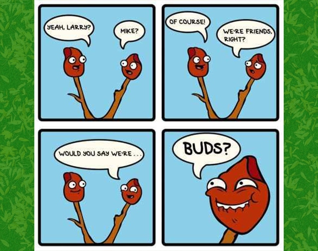 Funny Comics About Spring - Enchanted Little World