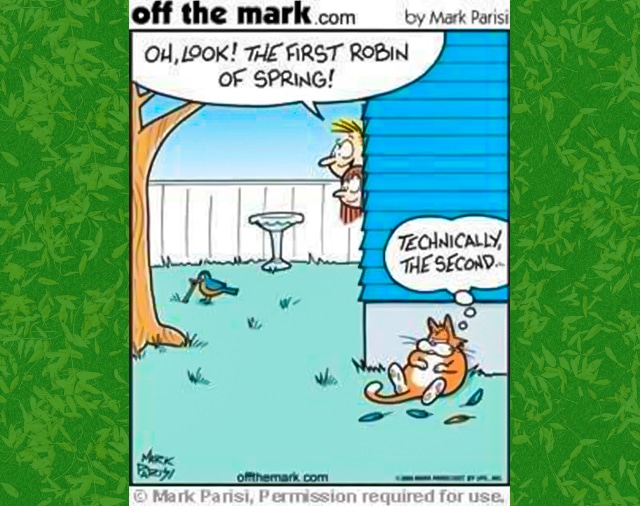 Funny Comics About Spring - Enchanted Little World