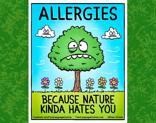 Funny Comics About Spring - Enchanted Little World